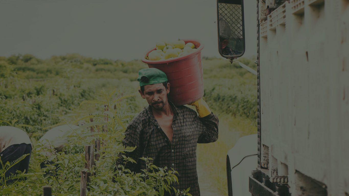 Canada’s unions say marginalized workers must not be forgotten during ...