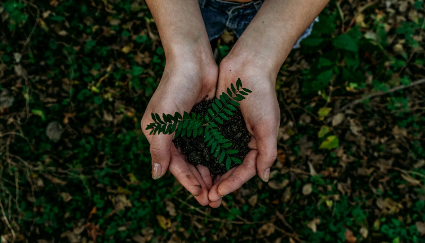 Earth Day 2026: Workers Power Solutions for Our Planet | Canadian ...